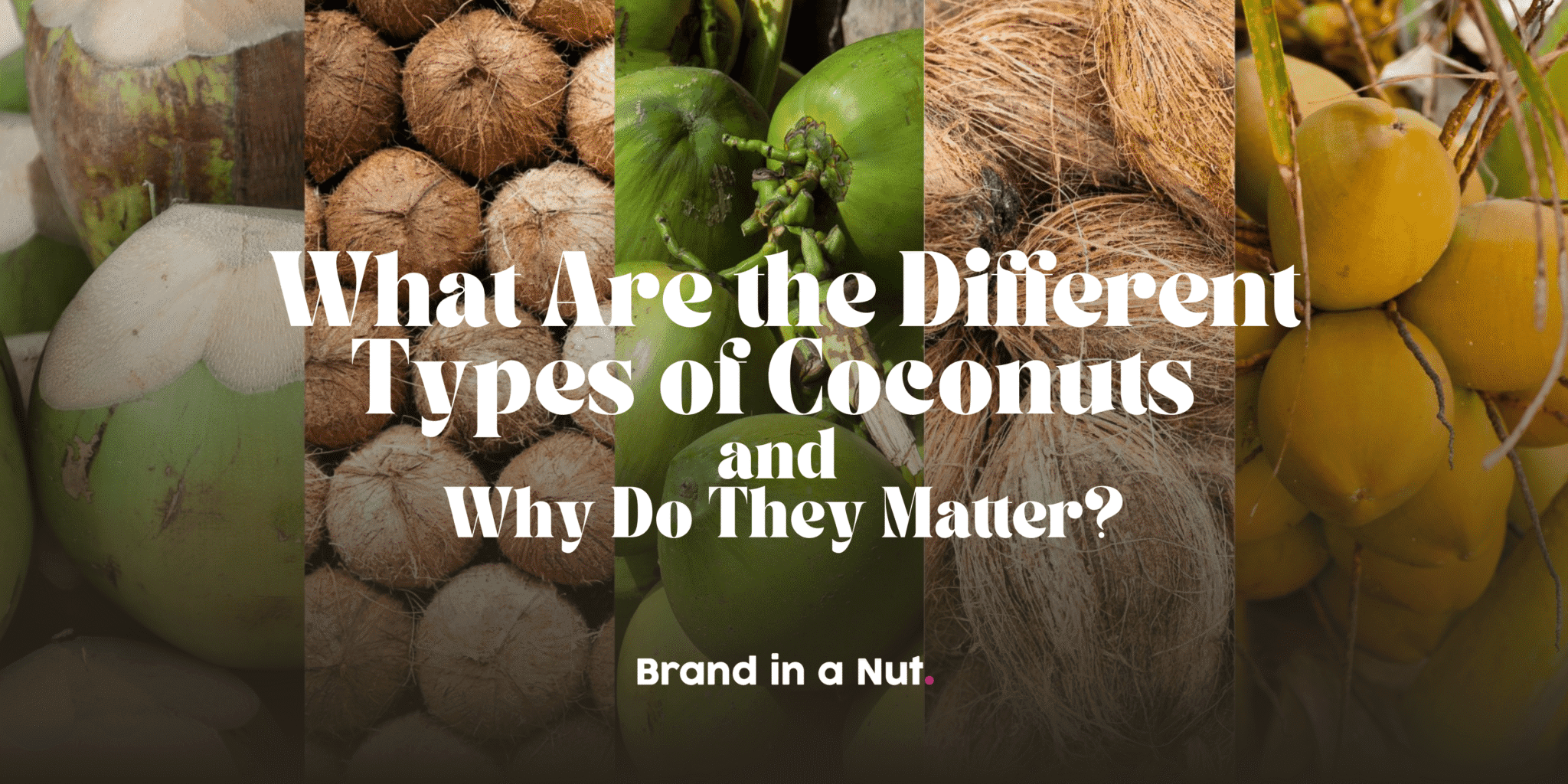 What Are the Different Types of Coconuts and Why Do They Matter ...