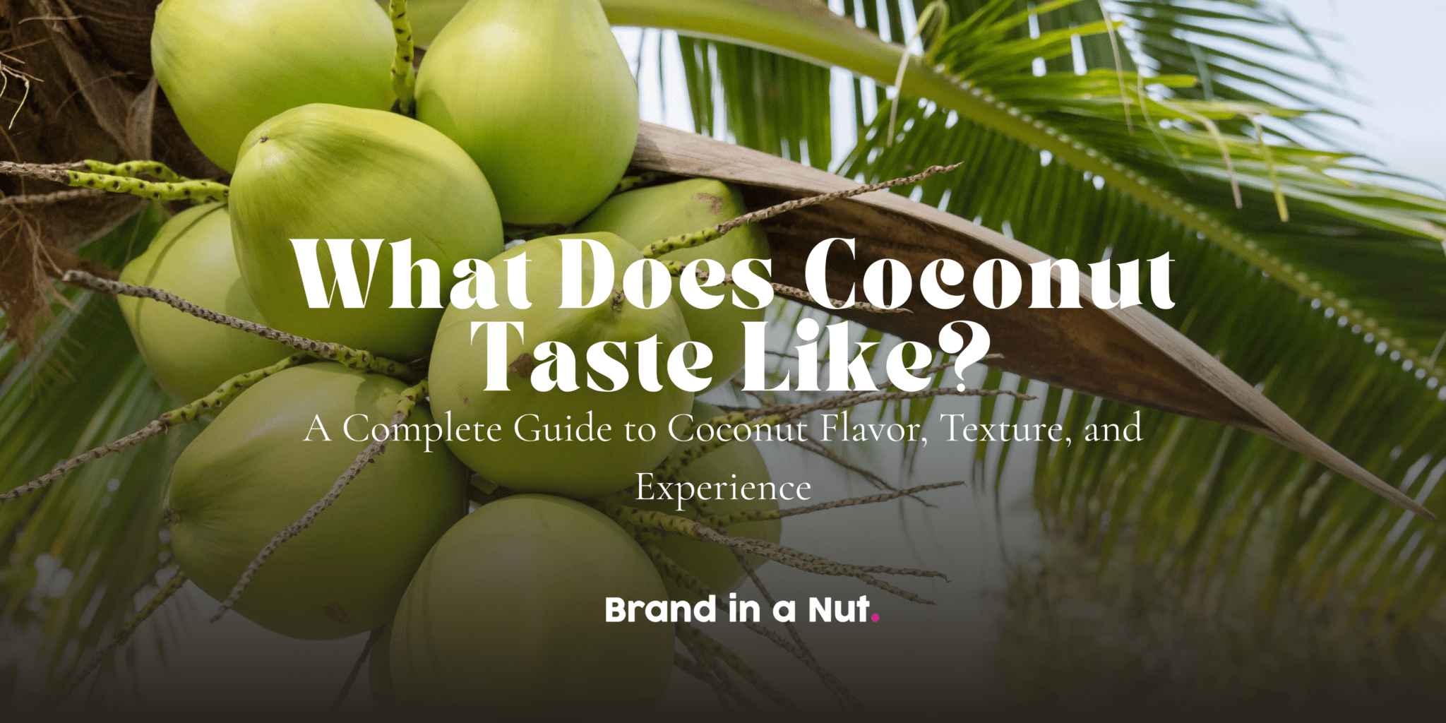 What Does Coconut Taste Like? A Complete Guide to Coconut Flavor ...